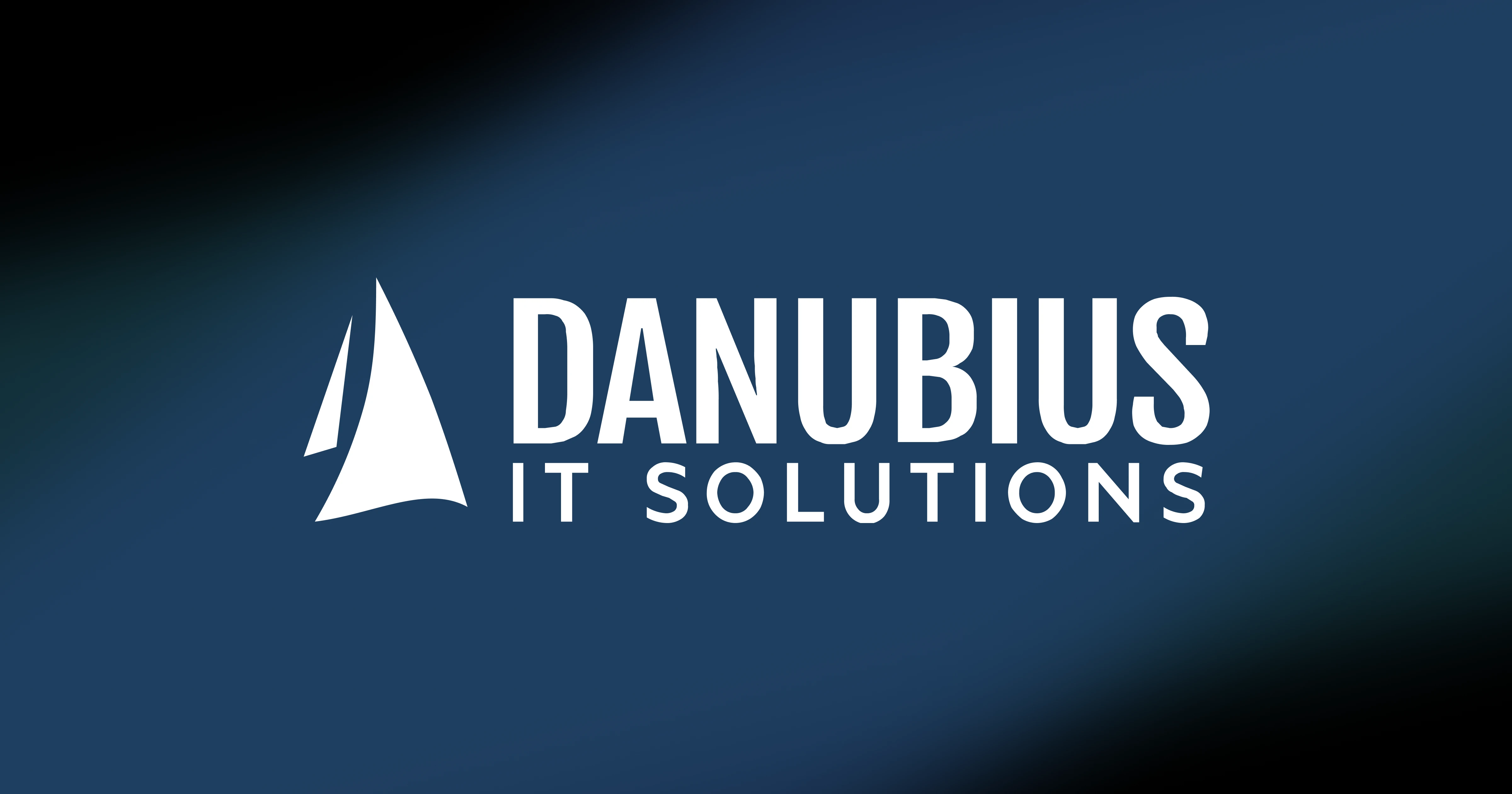 Danubius IT Solutions